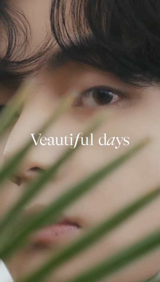 BTS V's 'Veautiful days'